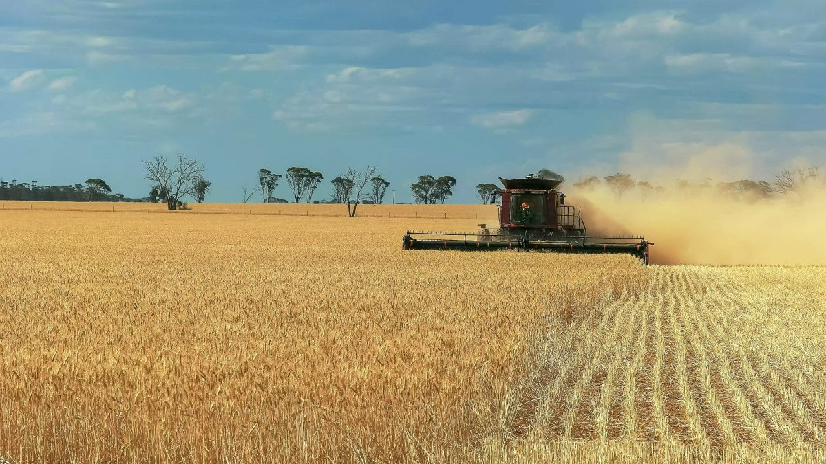 Business Services | AFS & Associates Bendigo