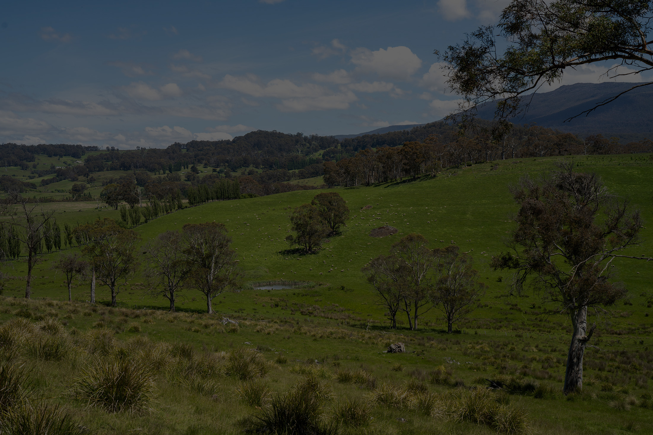 Understanding your land tax assessment in Victoria - AFS